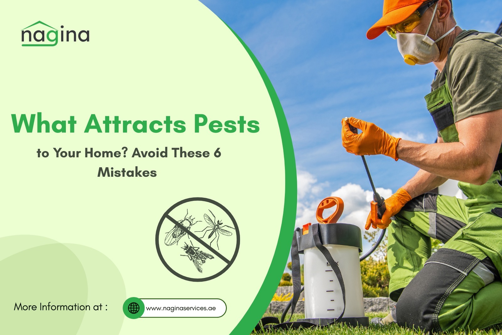 What Attracts Pests To Your Home? Avoid These 6 Mistakes - Nagina Services