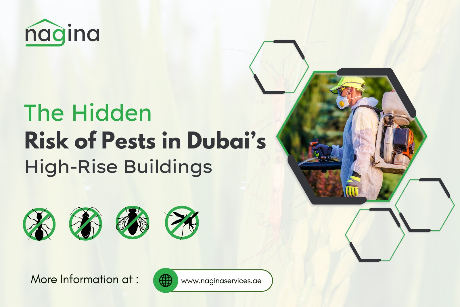 The Hidden Risk of Pests in Dubai’s High-Rise Buildings