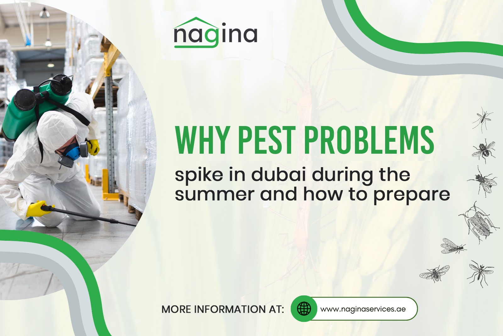 Why Pest Problems Spike in Dubai During the Summer- And How to Prepare ...
