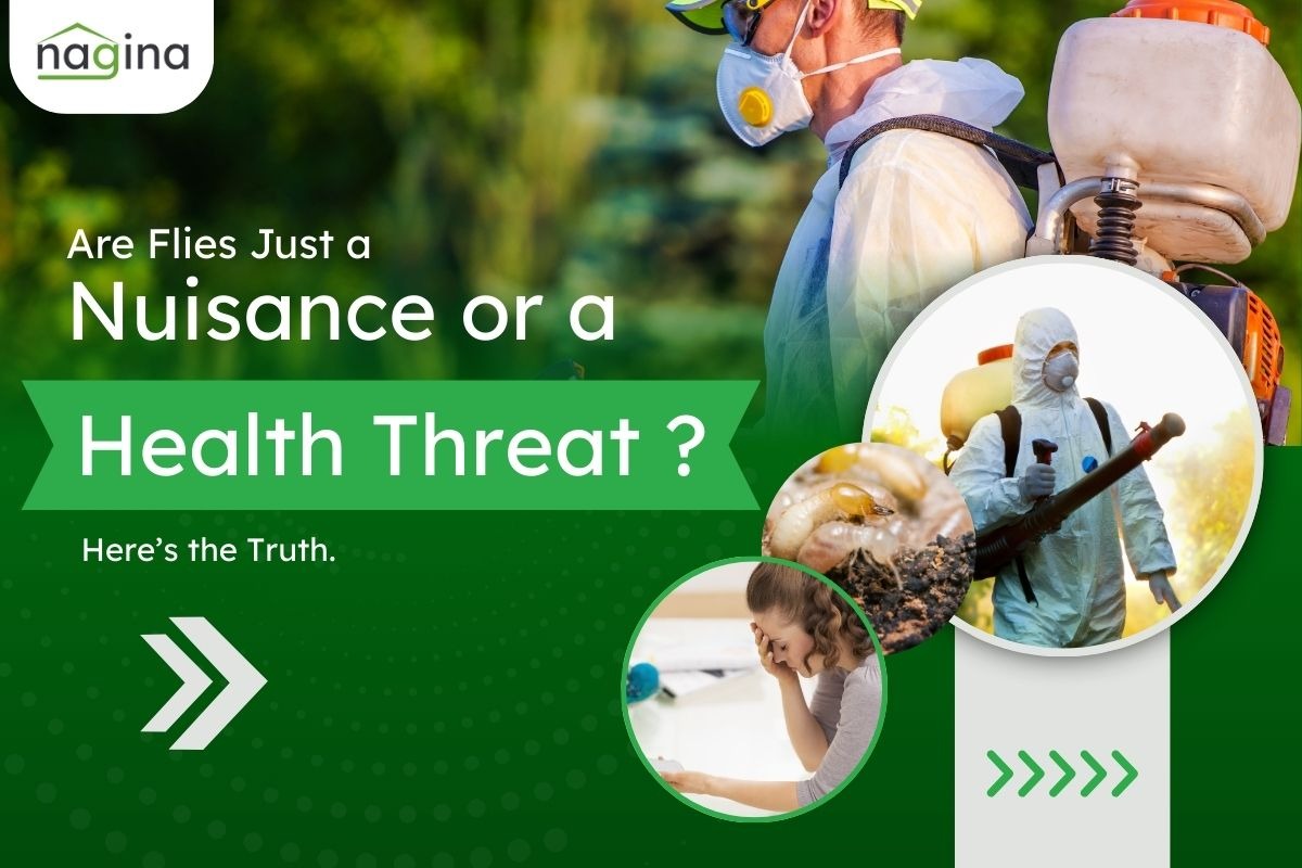 Are Flies Just a Nuisance or a Health Threat? Here’s the Truth - Nagina ...