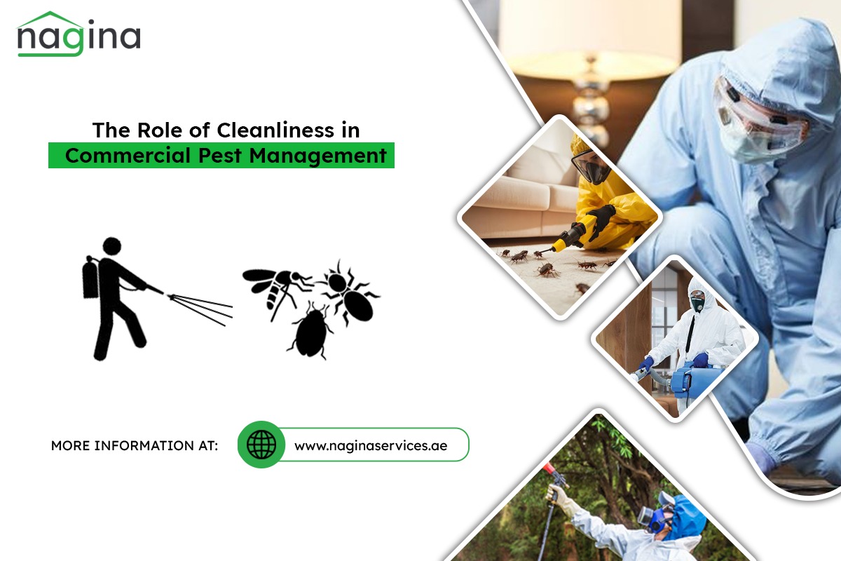 The Role of Cleanliness in Commercial Pest Management - Nagina Services