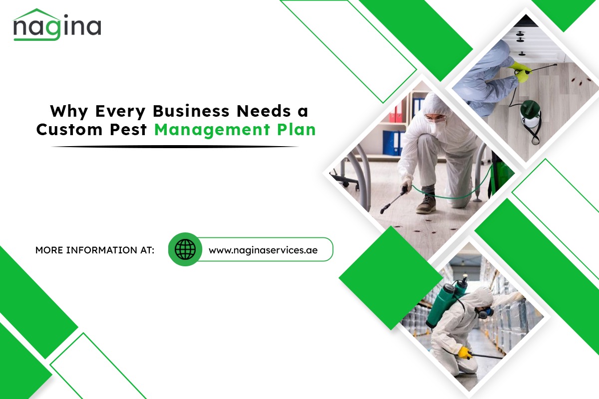Why Every Business Needs a Custom Pest Management Plan - Nagina Services