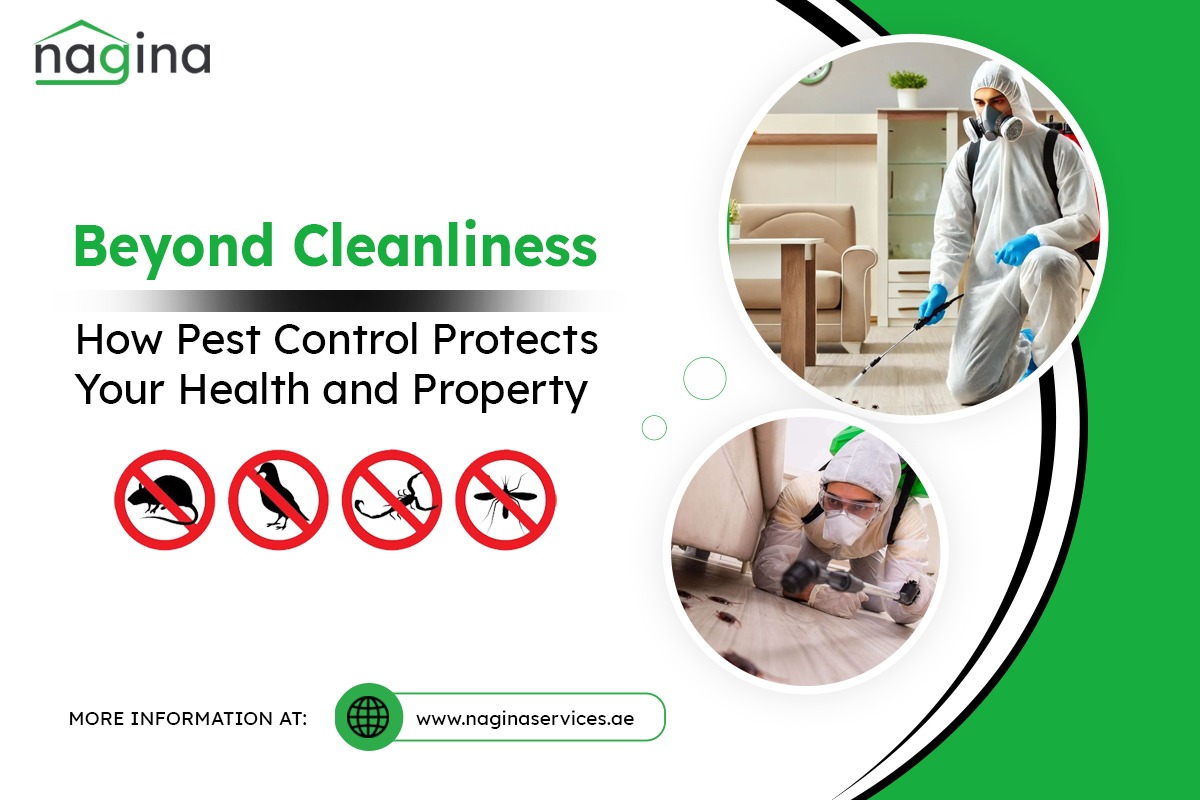 Beyond Cleanliness: How Pest Control Protects Your Health and Property ...