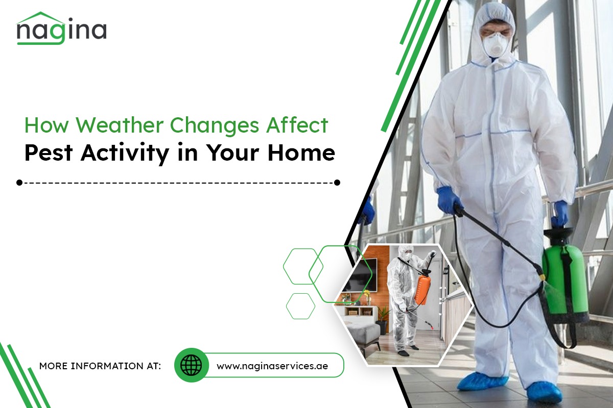 How Weather Changes Affect Pest Activity in Your Home - Nagina Services