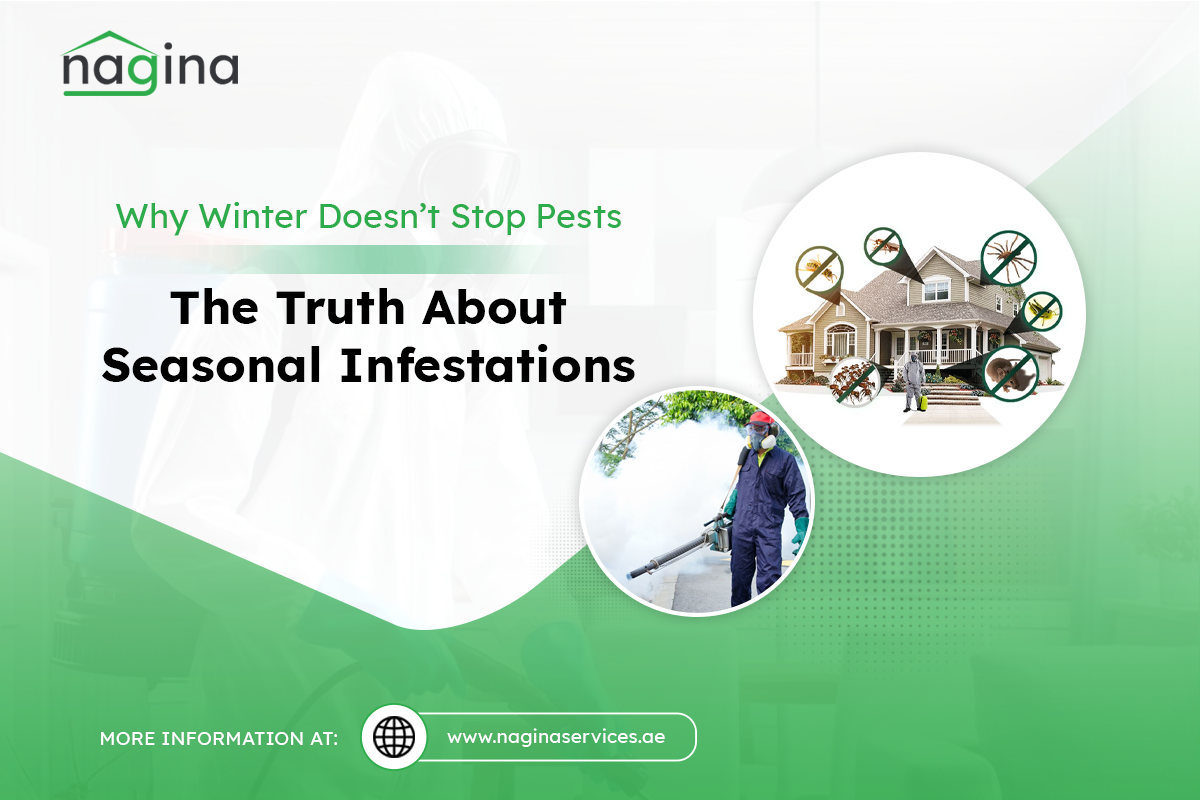 Why Winter Doesn’t Stop Pests: The Truth About Seasonal Infestations ...